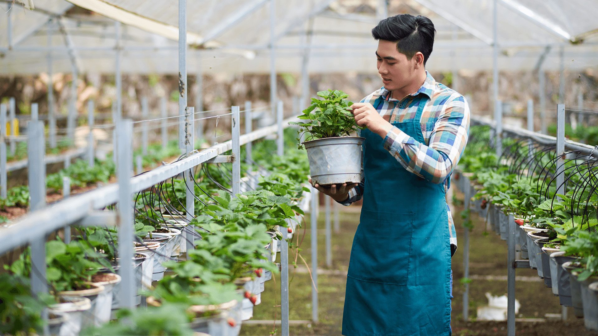 Peer-to-peer lending | British Business Bank